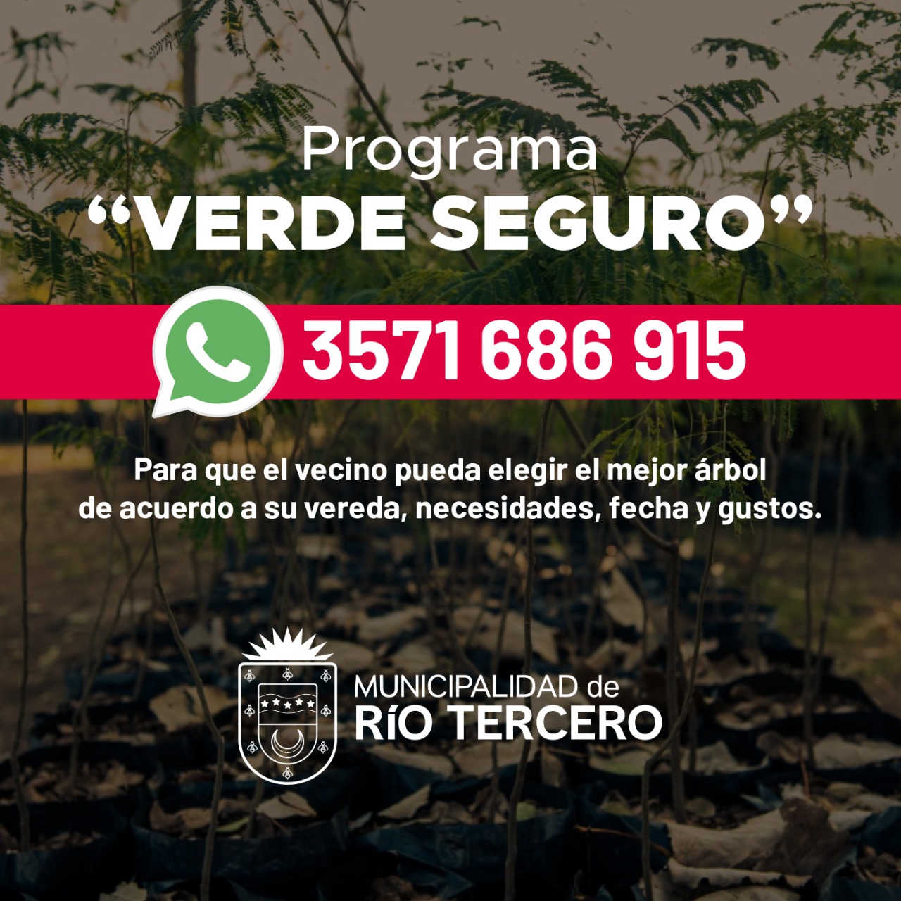 LLEGA DESDE EL VIVERO MUNICIPAL EL PROGRAMA : VERDE SEGURO